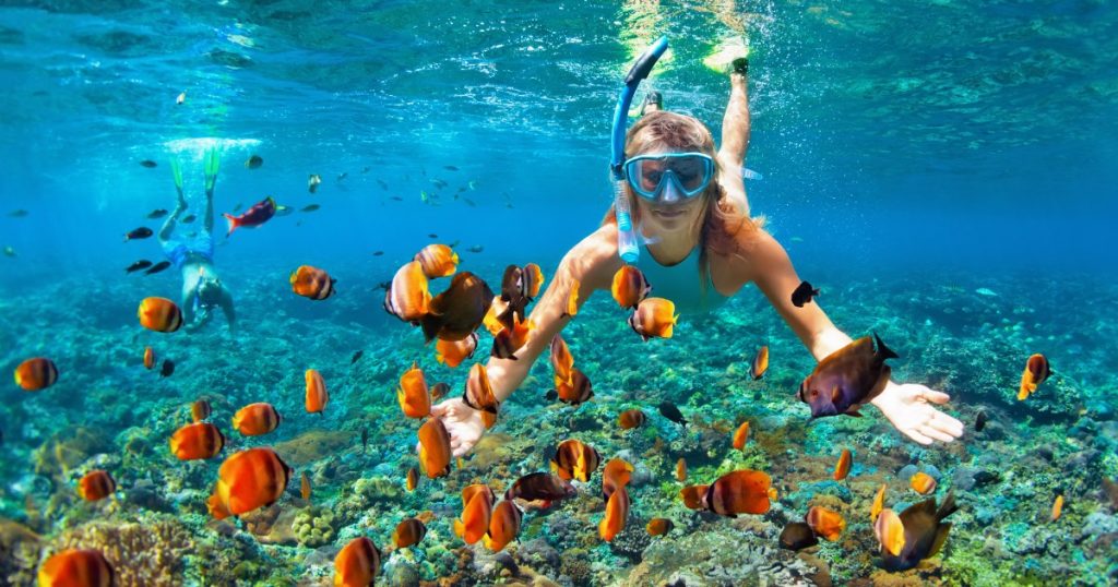 Underwater Paradise: Snorkeling and Diving in the Maldives ...